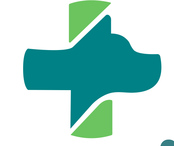 Piodermite Canina: O que é, causas e como tratar?